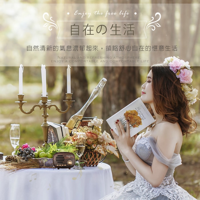 【HANLIN】HANLIN-FG08 震撼美聲藍牙復古小音箱 - 鮮拾